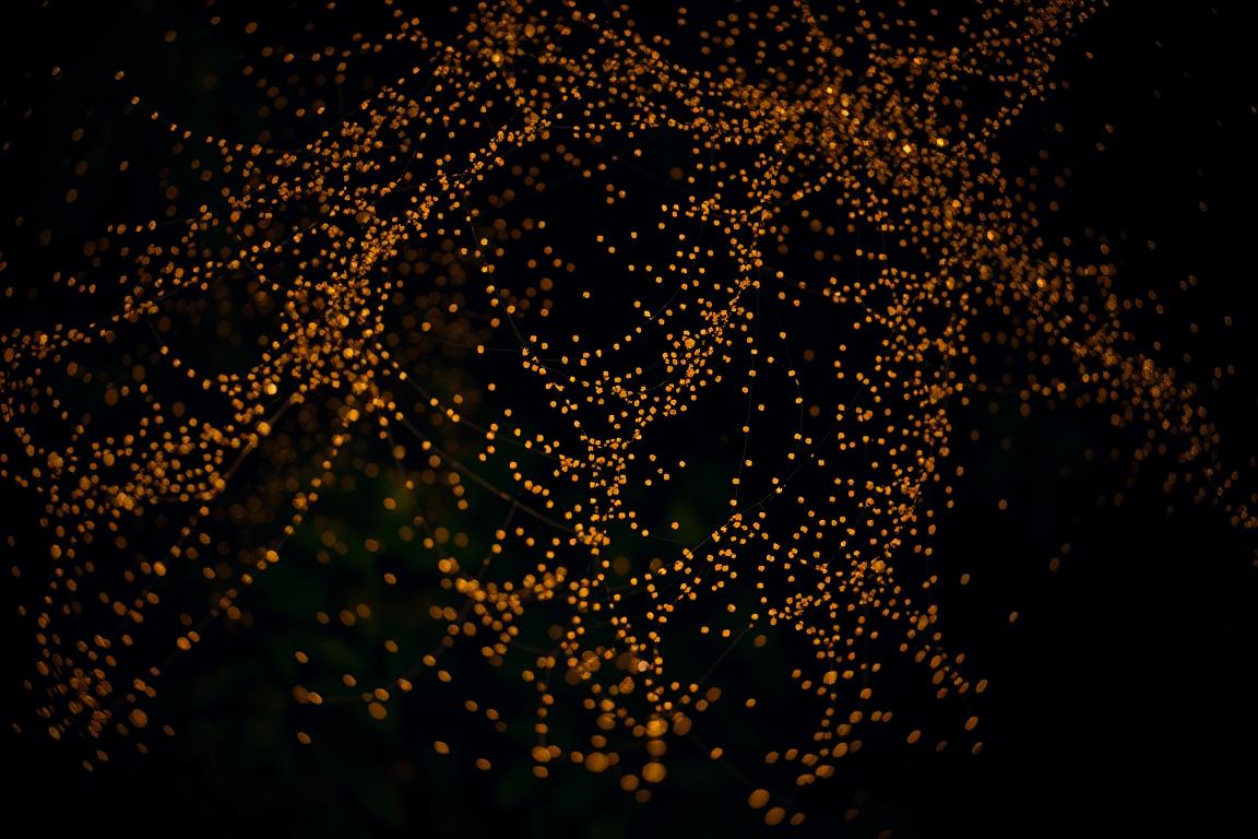 So Synchronisierst Du Firefly Erfolgreich Mit Anderen Adobe-Tools