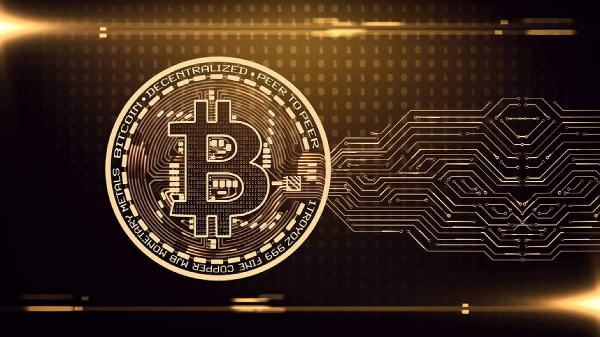 Alternativen Zu Bitcoin Welche Altcoins Gibt Es Und Was K nnen Diese